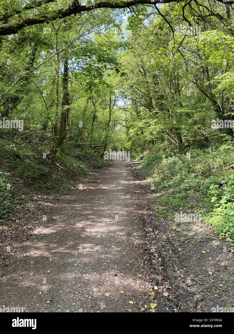 Overgrown track hi-res stock photography and images - Alamy