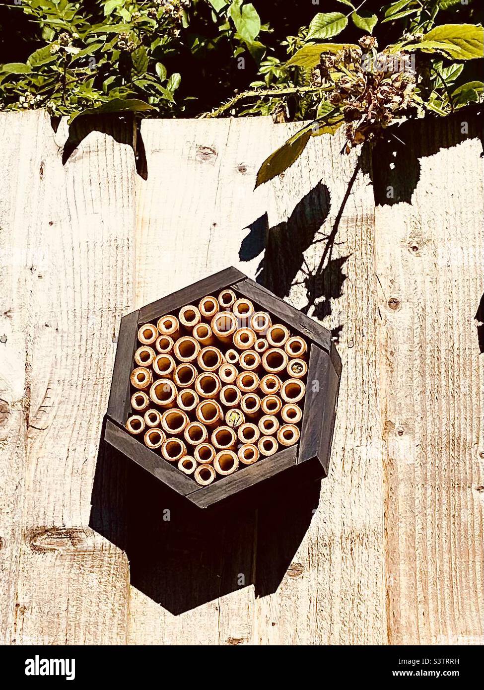 Hotel garden wildlife hi-res stock photography and images - Alamy