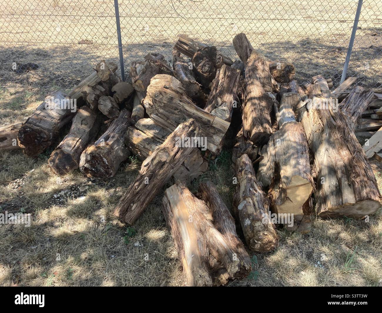 Cedar log hi-res stock photography and images - Alamy