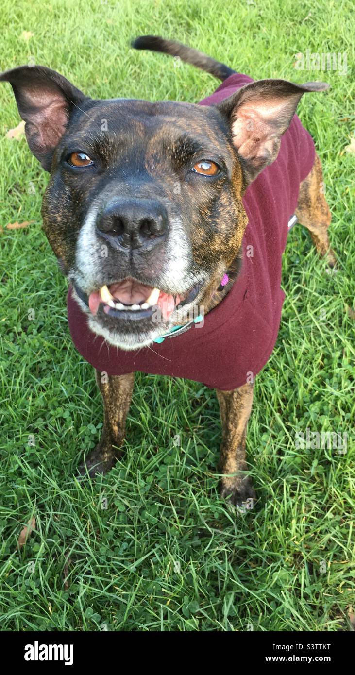 Wearing a jumper hi-res stock photography and images - Alamy