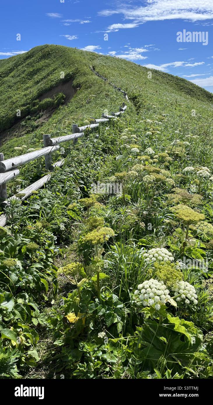 Mountain cliff edge path hi-res stock photography and images - Alamy