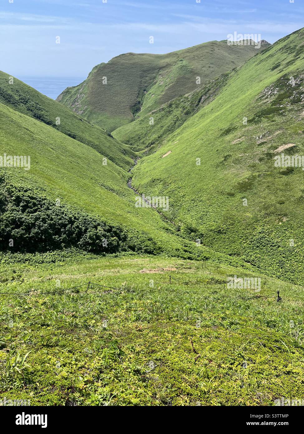 Lush green valley and blue sky, Rebun Island, Hokkaido, Japan Stock ...