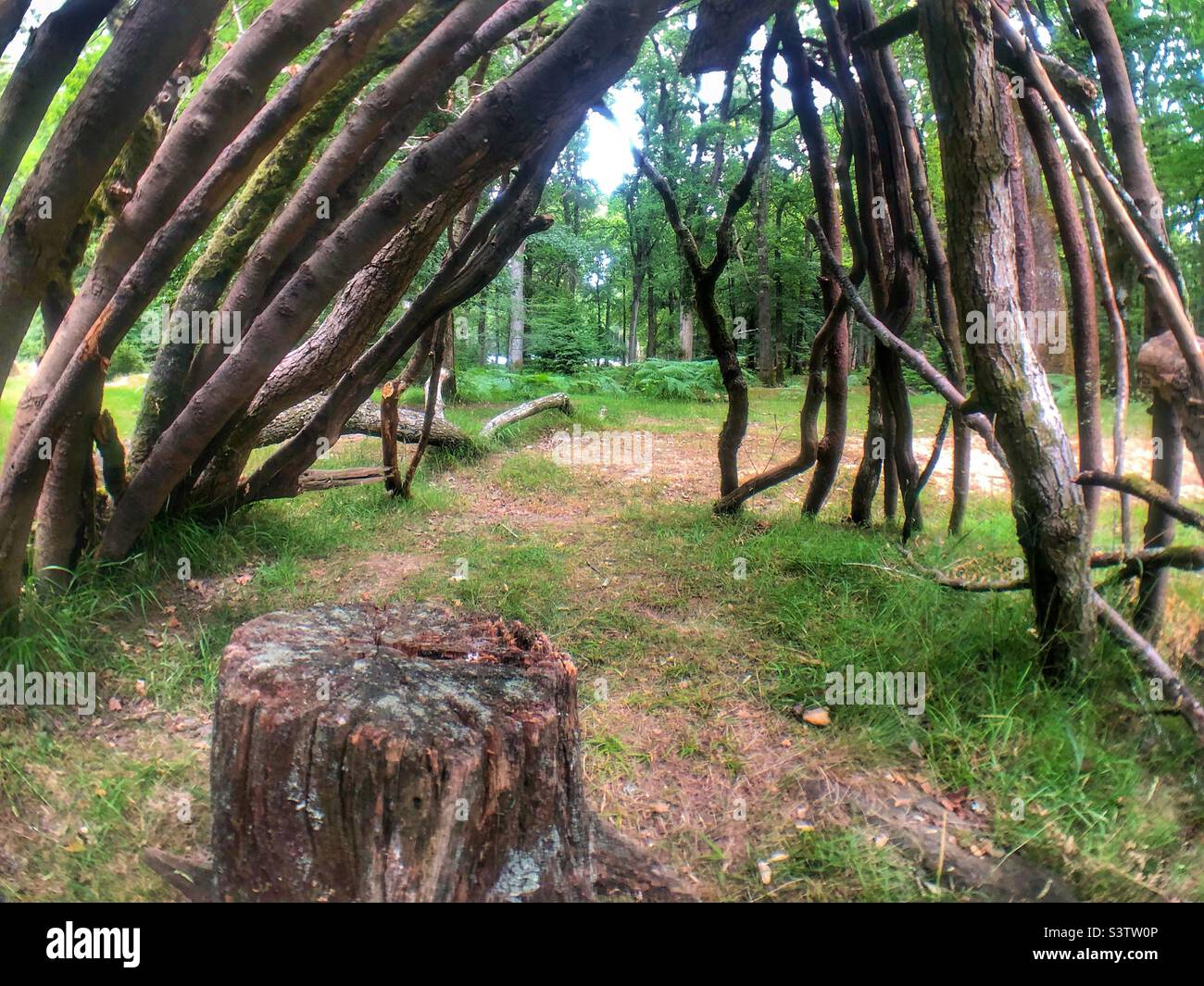 Natural shelter hi-res stock photography and images - Alamy