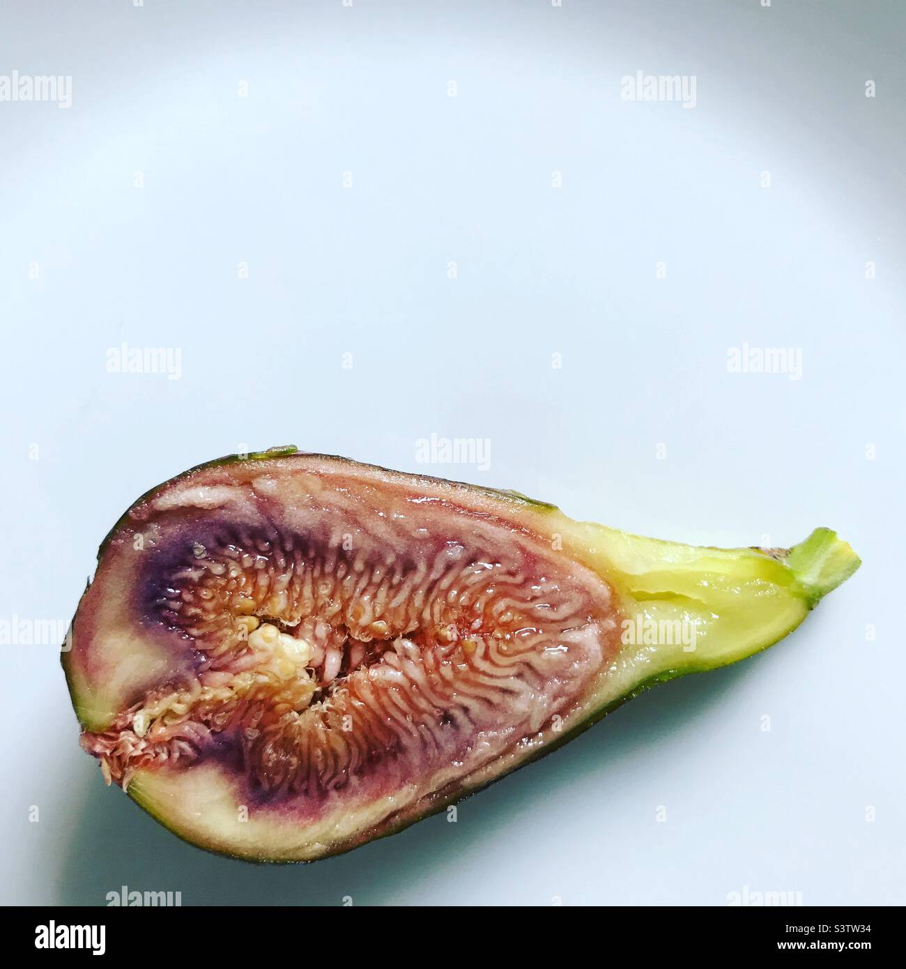 Inside of fruit hi-res stock photography and images - Alamy