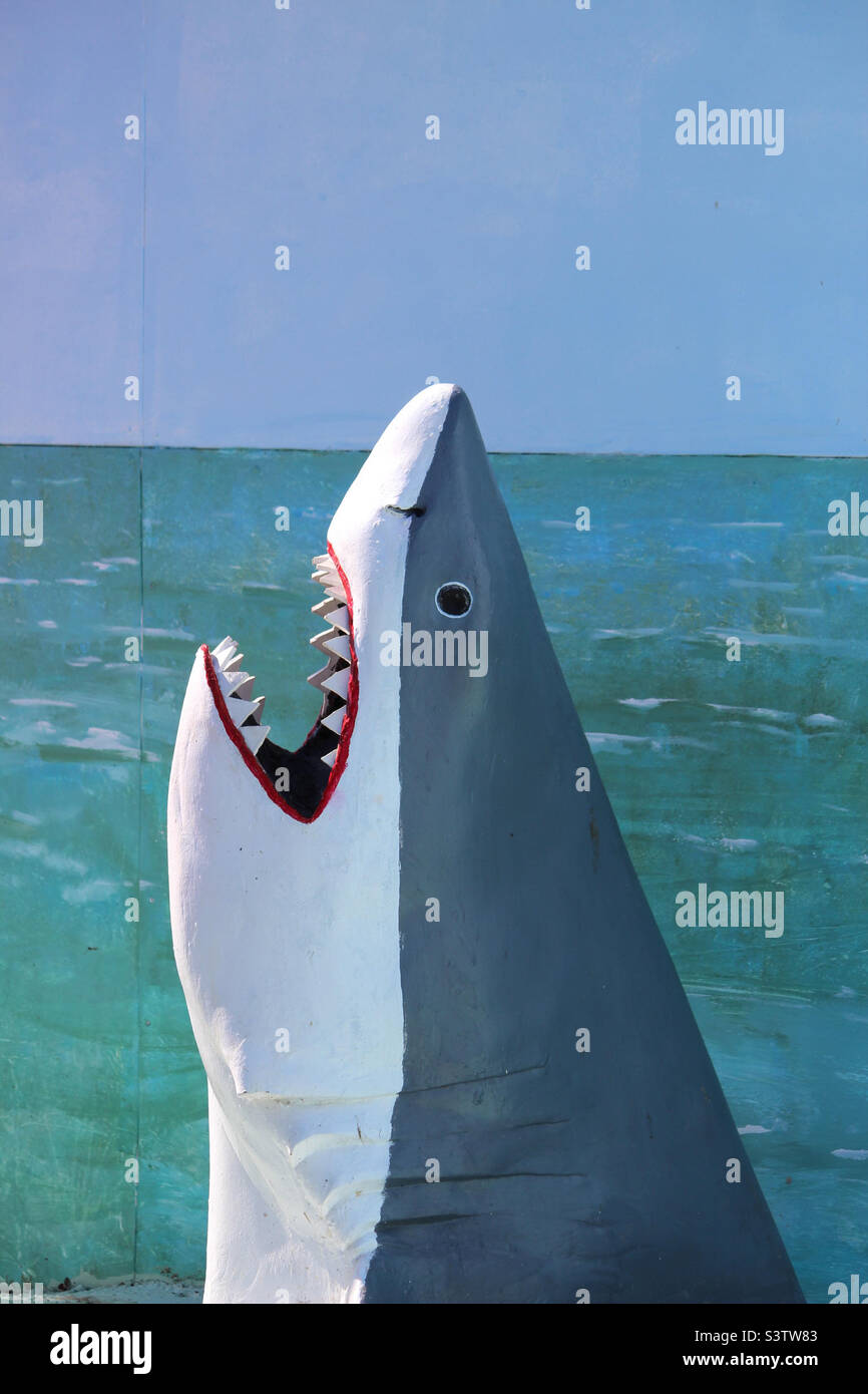 Shark display hi-res stock photography and images - Alamy