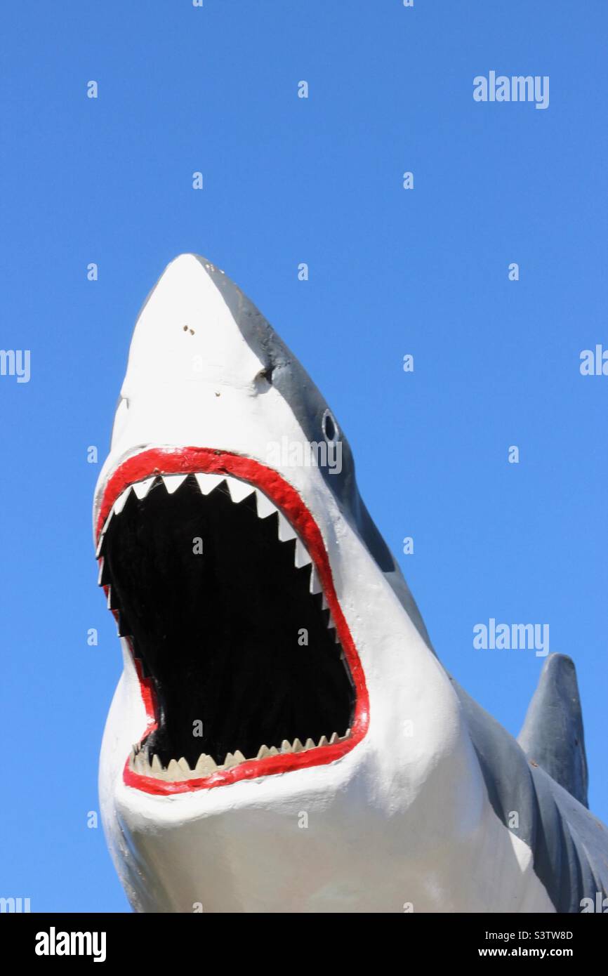 Shark with open mouth hi-res stock photography and images - Alamy