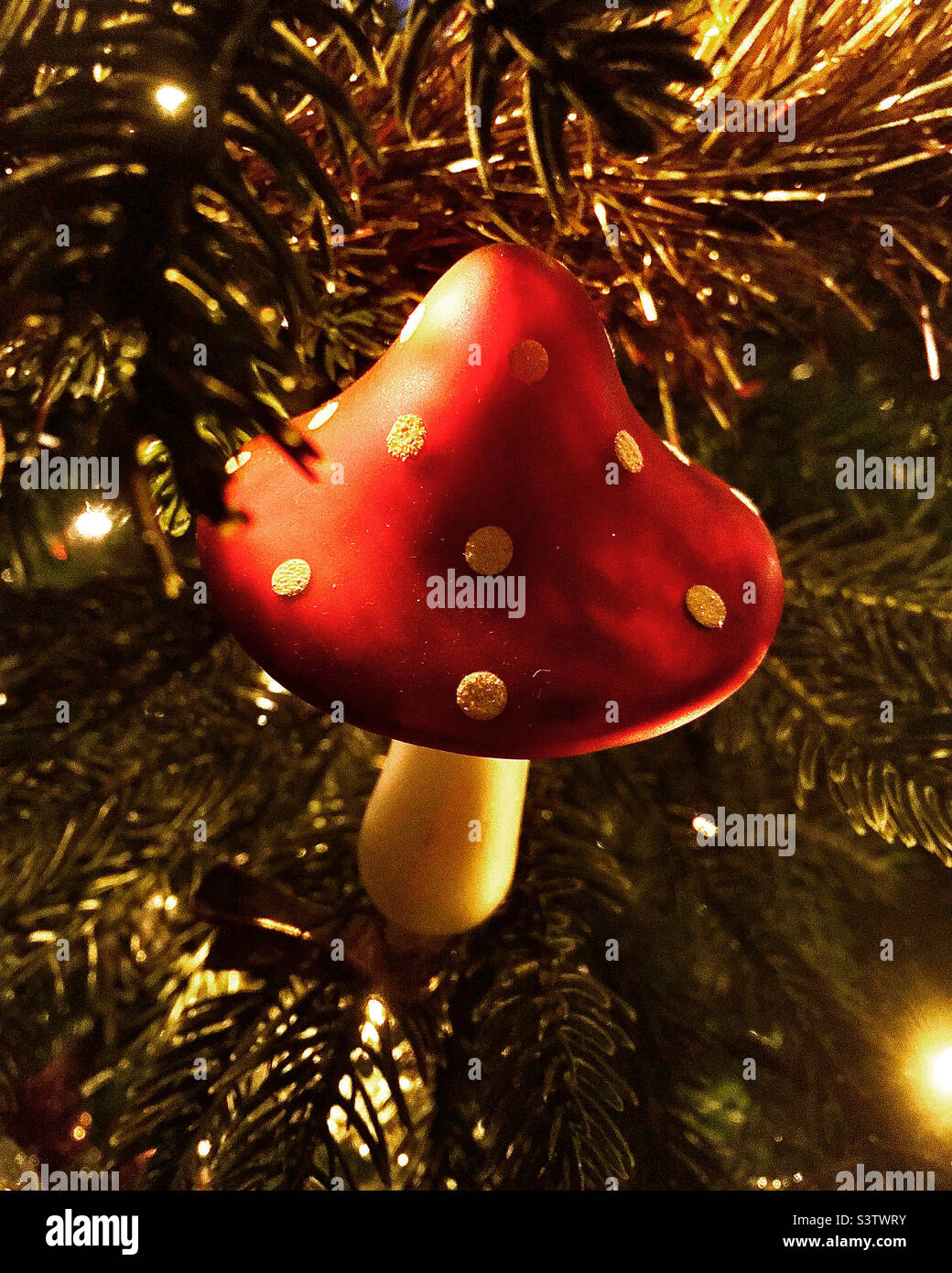 Red spotty mushroom hi-res stock photography and images - Alamy