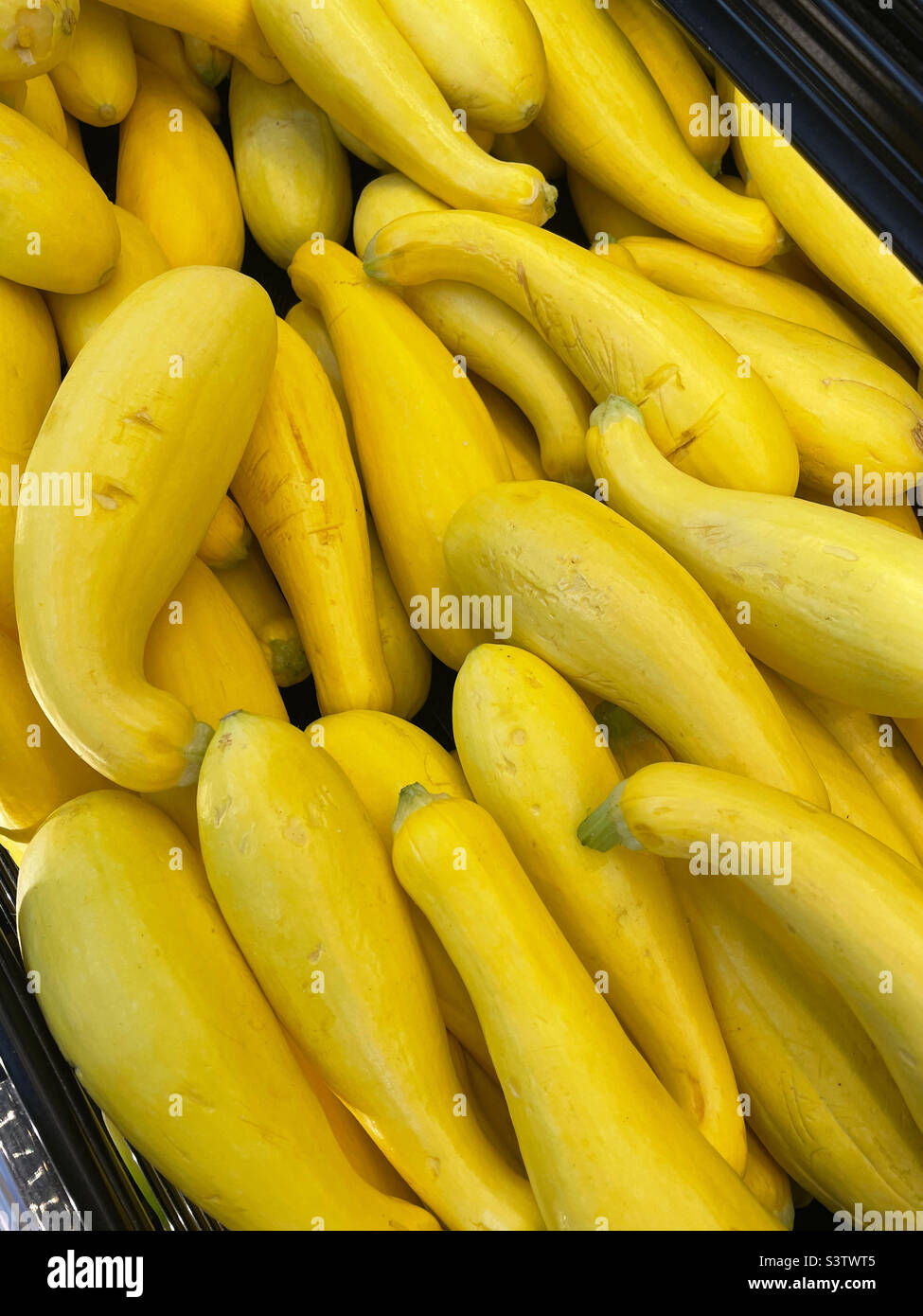 Yellow squash for sale in the produce aisle of a supermarket, 2022, USA ...