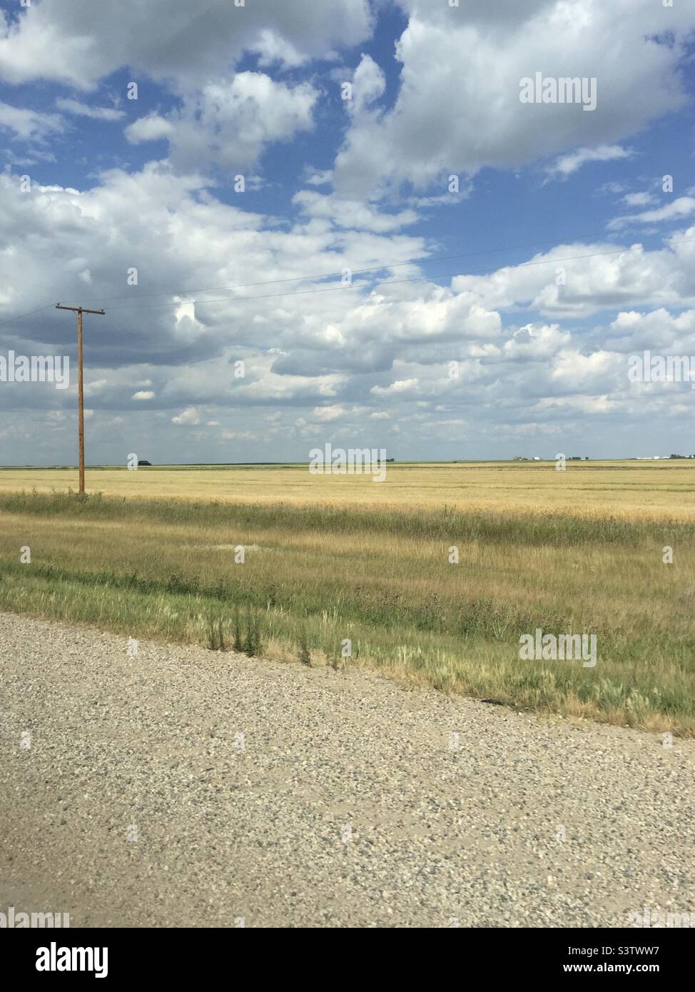 Saskatchewan prairie landscape of field with power pole and gravel road ...