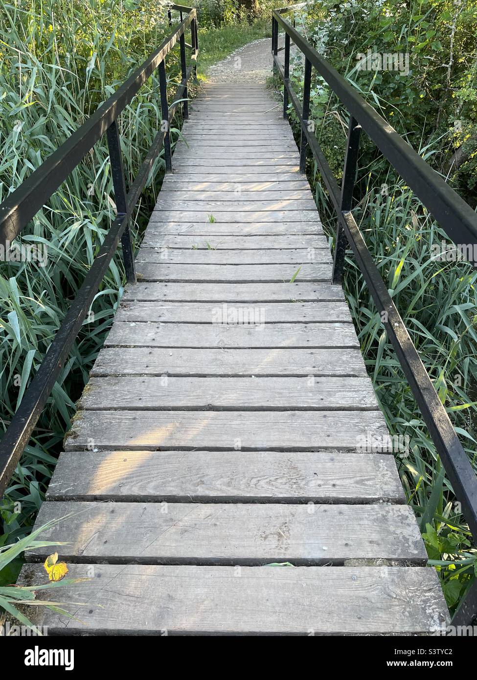 The straight path Stock Photo - Alamy