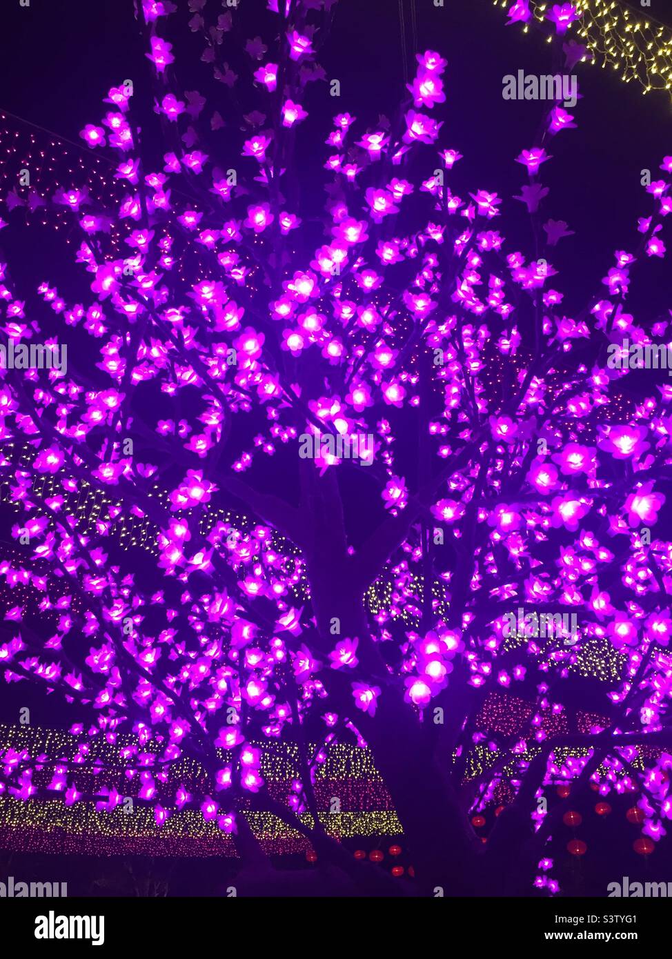 Light up tree hi-res stock photography and images - Alamy