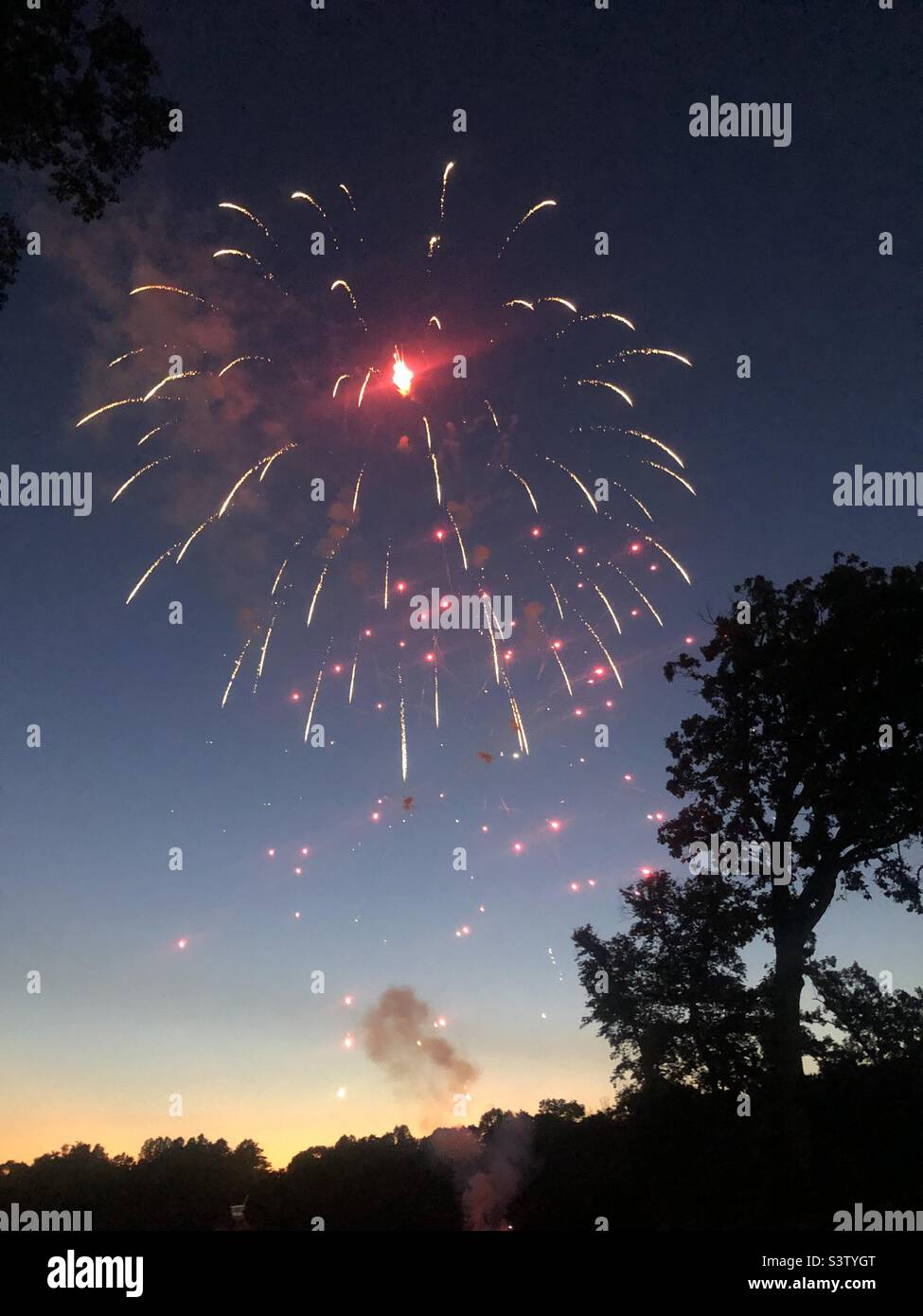 Trees smoke hi-res stock photography and images - Alamy