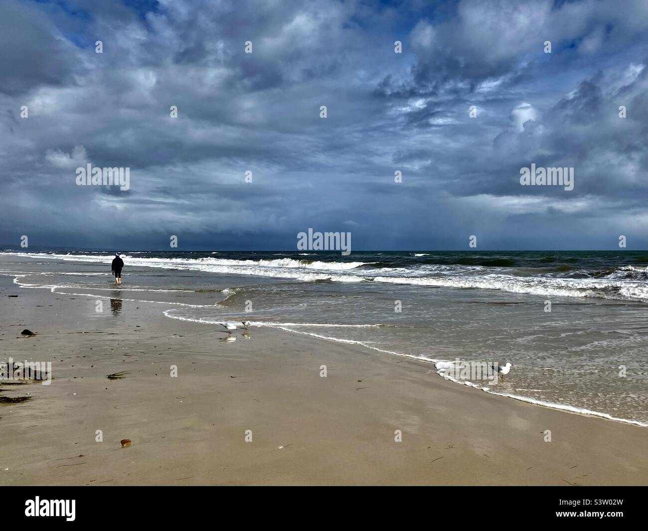 Cloudy Sky over Pacific Ocean shoreline Stock Photo - Alamy