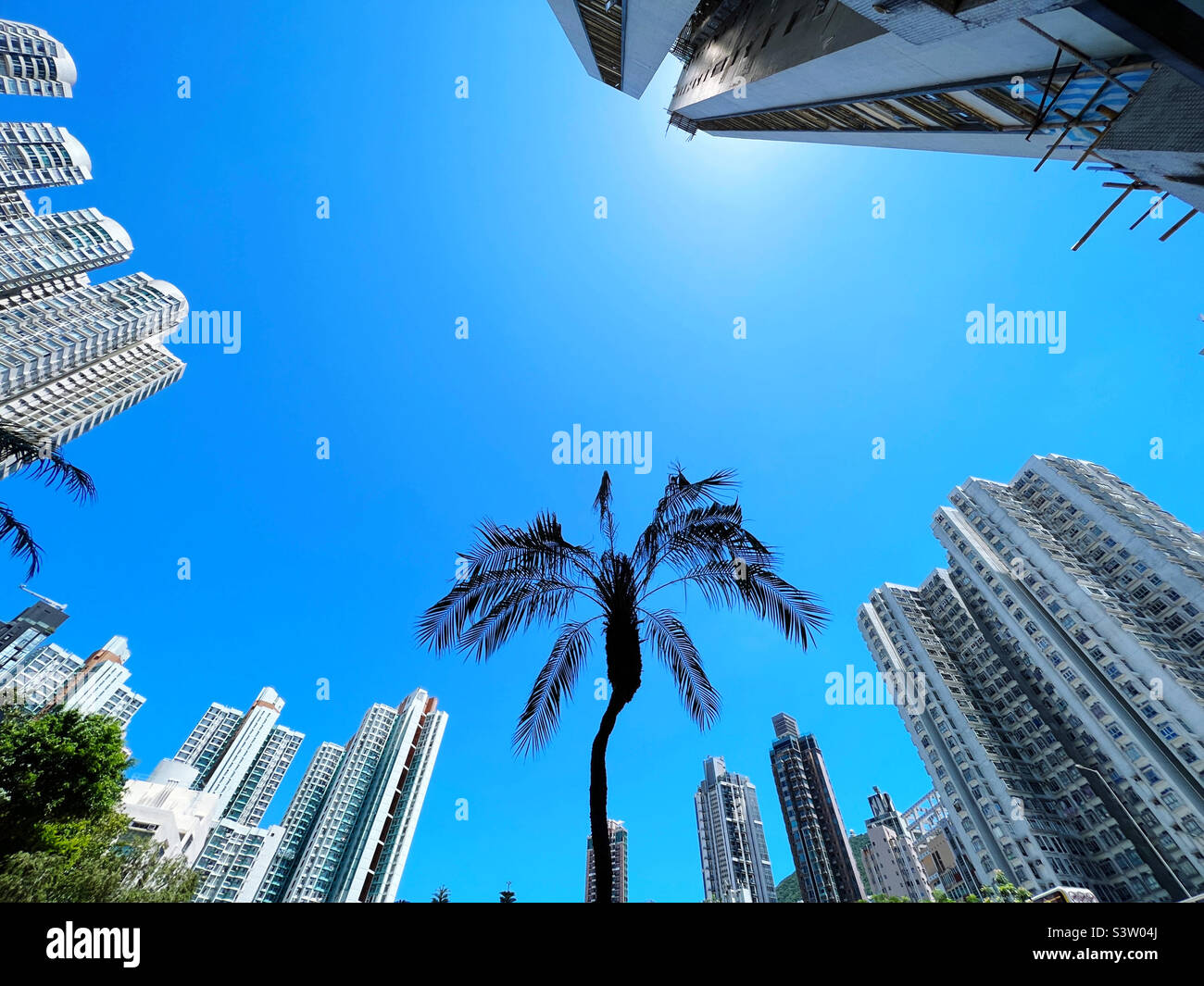Cityscape with trees hi-res stock photography and images - Alamy