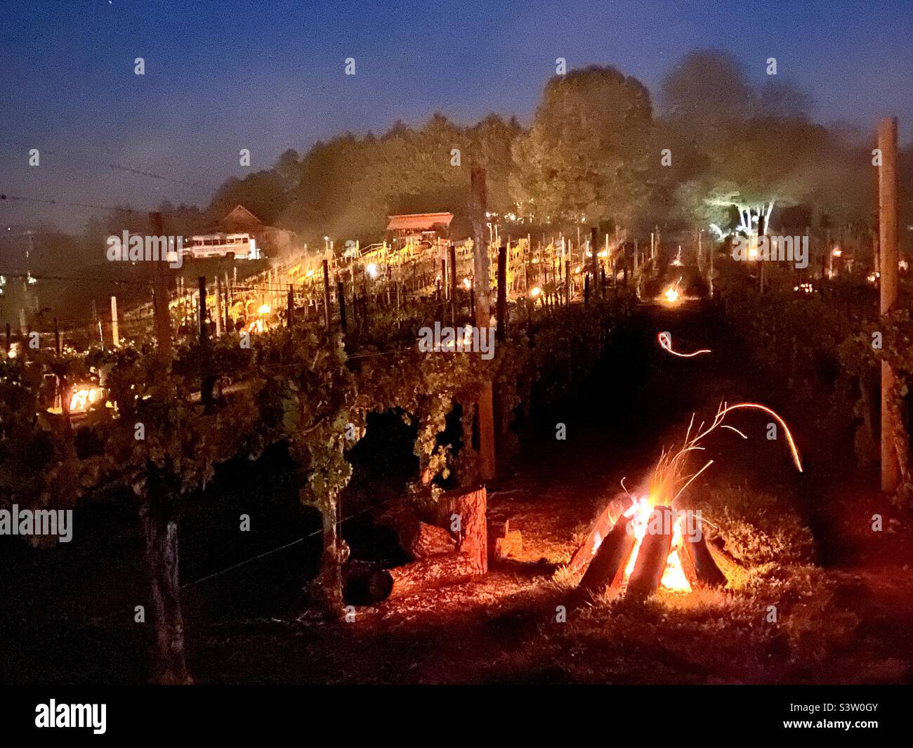 Night frost vineyard hi-res stock photography and images - Alamy
