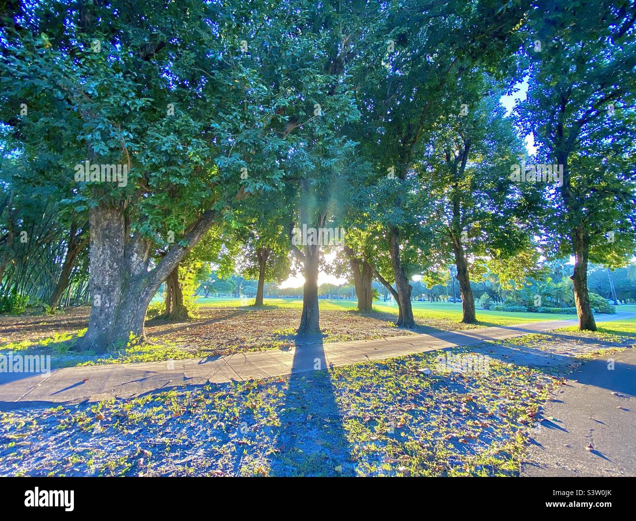 Florida miami springs hi-res stock photography and images - Alamy
