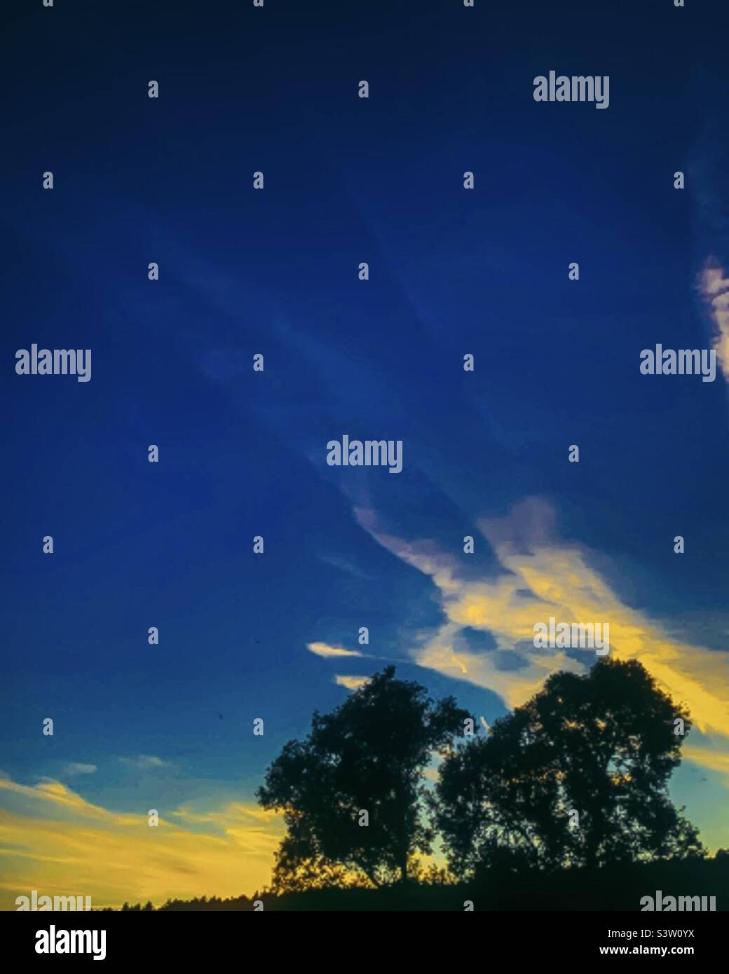 Sky with trees hi-res stock photography and images - Alamy