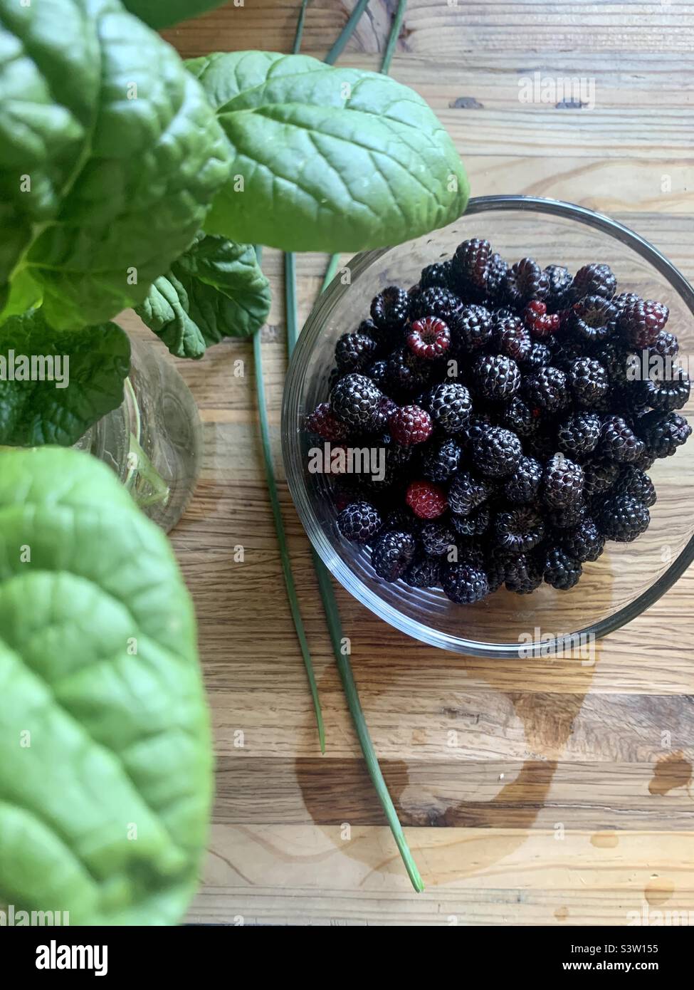 Black raspy hi-res stock photography and images - Alamy