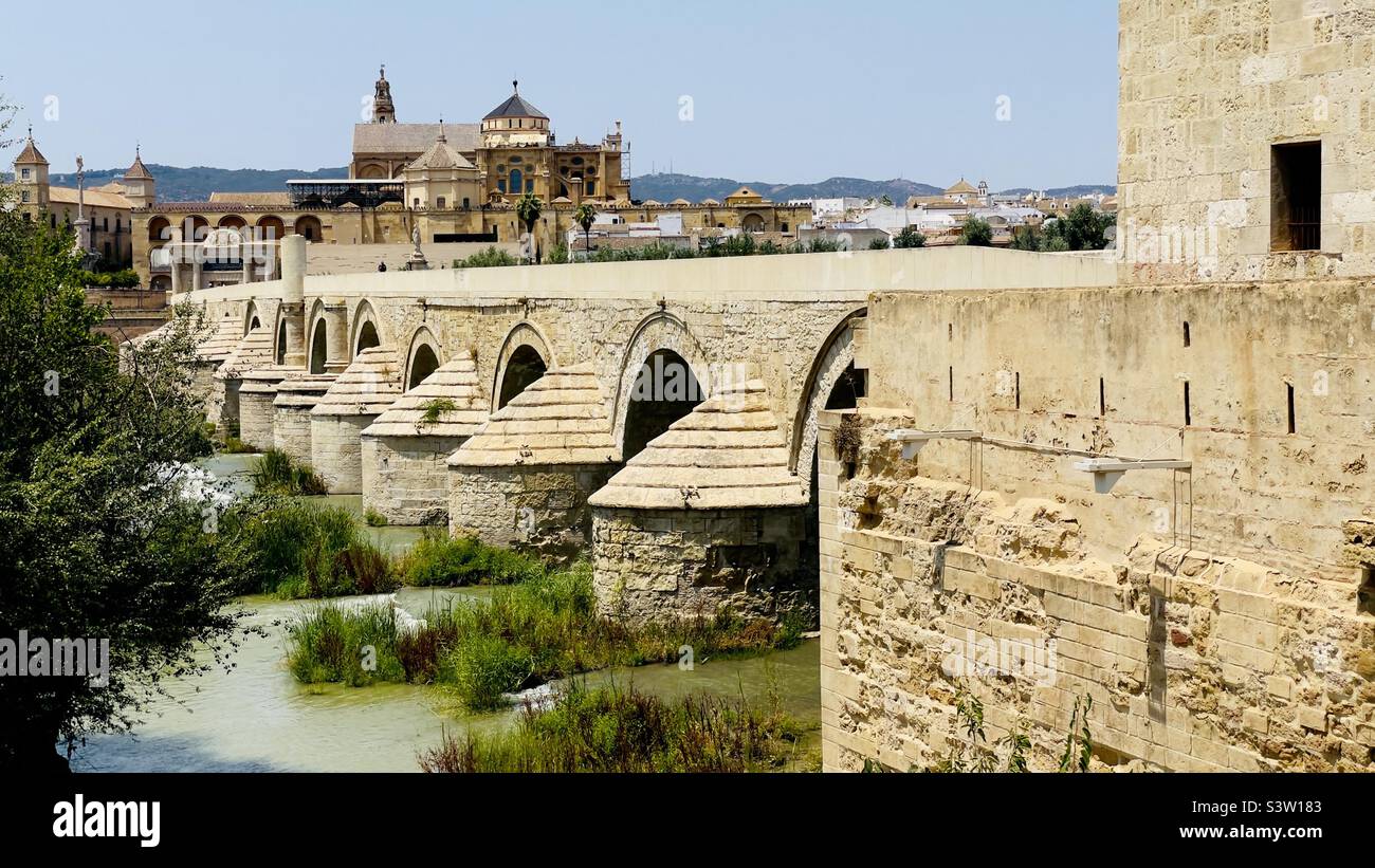 The Roman bridge of Cordoba, Spain Stock Photo - Alamy