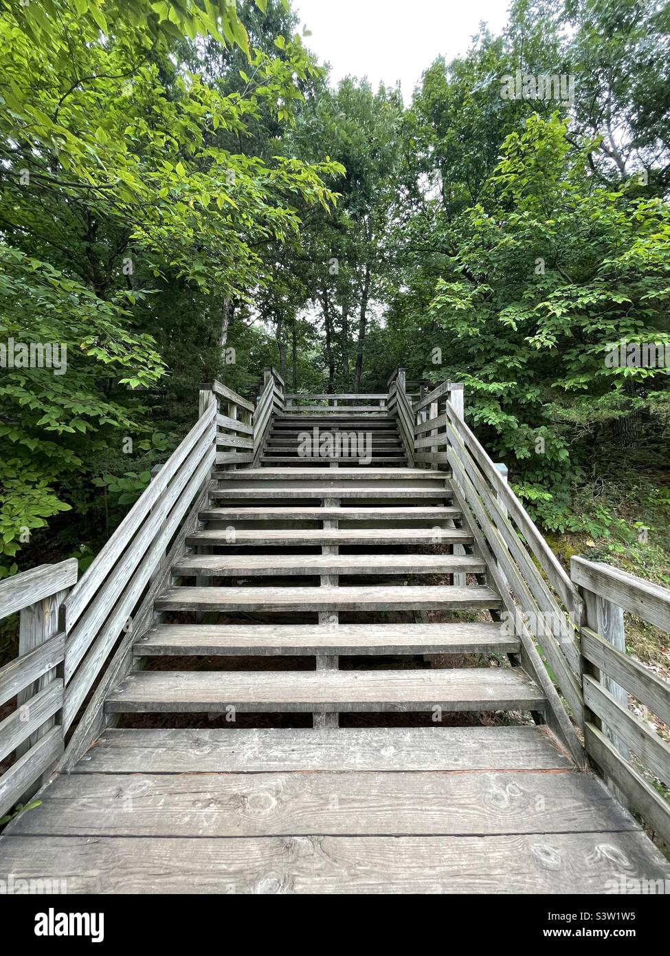 Stairs and nature hi-res stock photography and images - Alamy