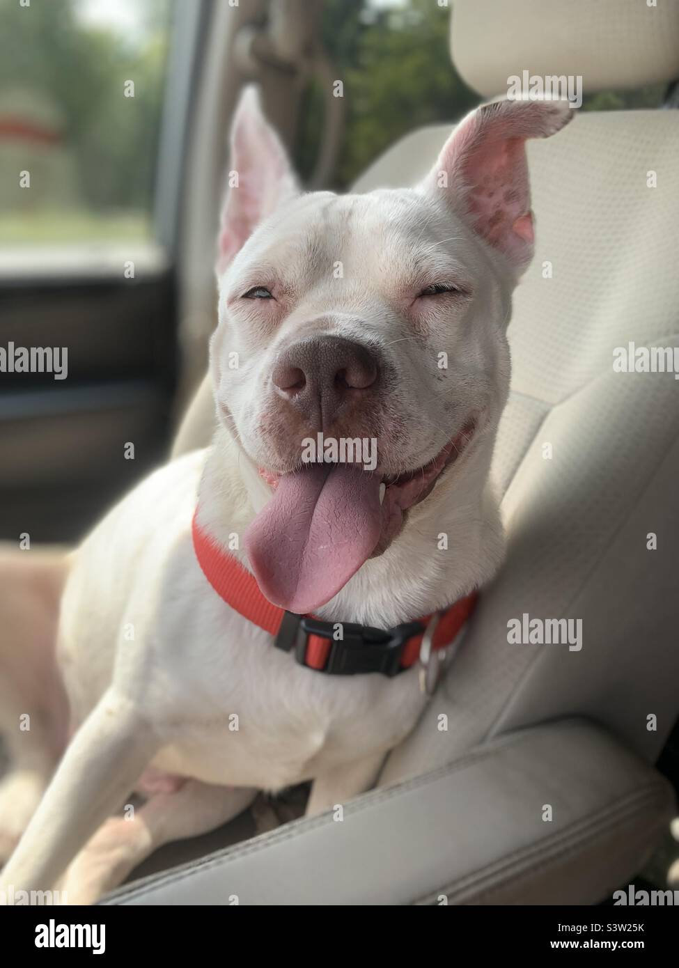 Mix ride hi-res stock photography and images - Alamy