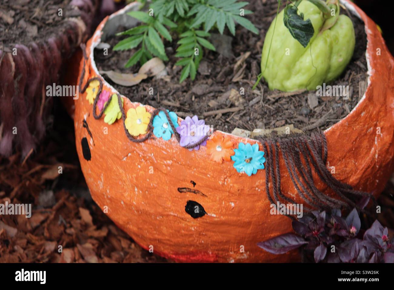 Face shaped pot hi-res stock photography and images - Alamy