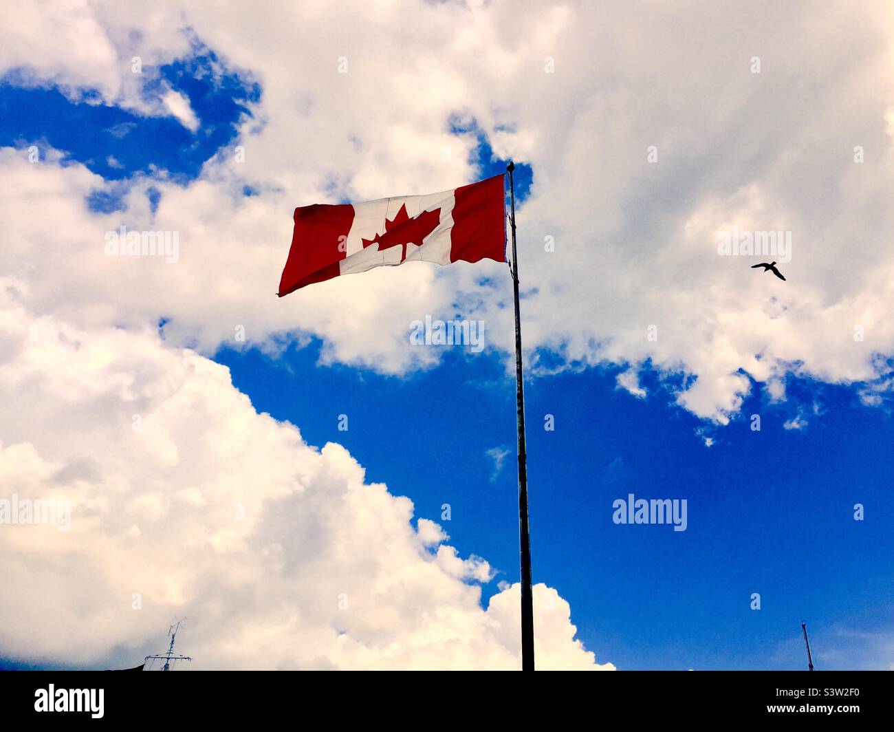 Canadian flag, The Maple Leaf, in full furl against a blue sky, Canada ...