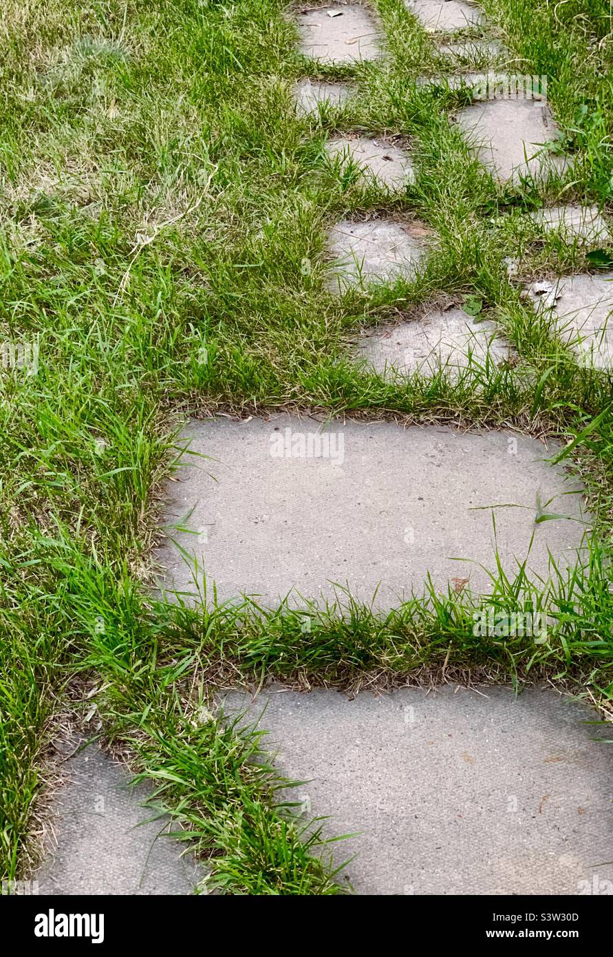 Concrete block path with grass growing in the cracks Stock Photo - Alamy