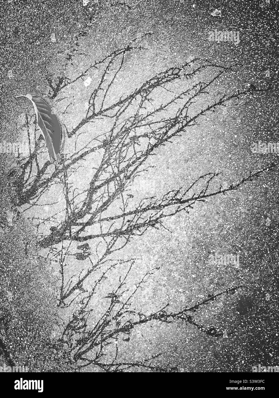 Rain water reflection hi-res stock photography and images - Alamy