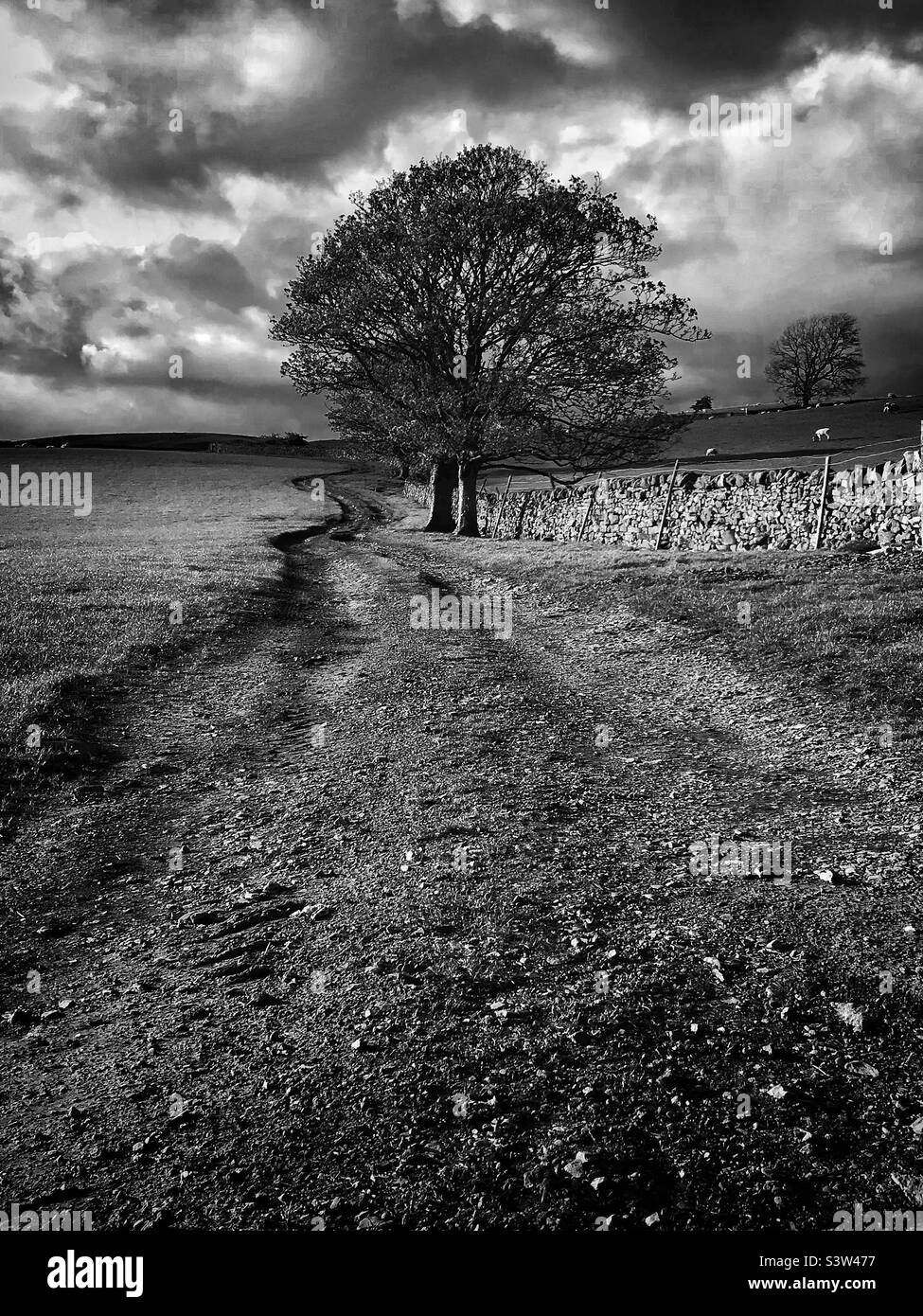 Wall track hi-res stock photography and images - Alamy