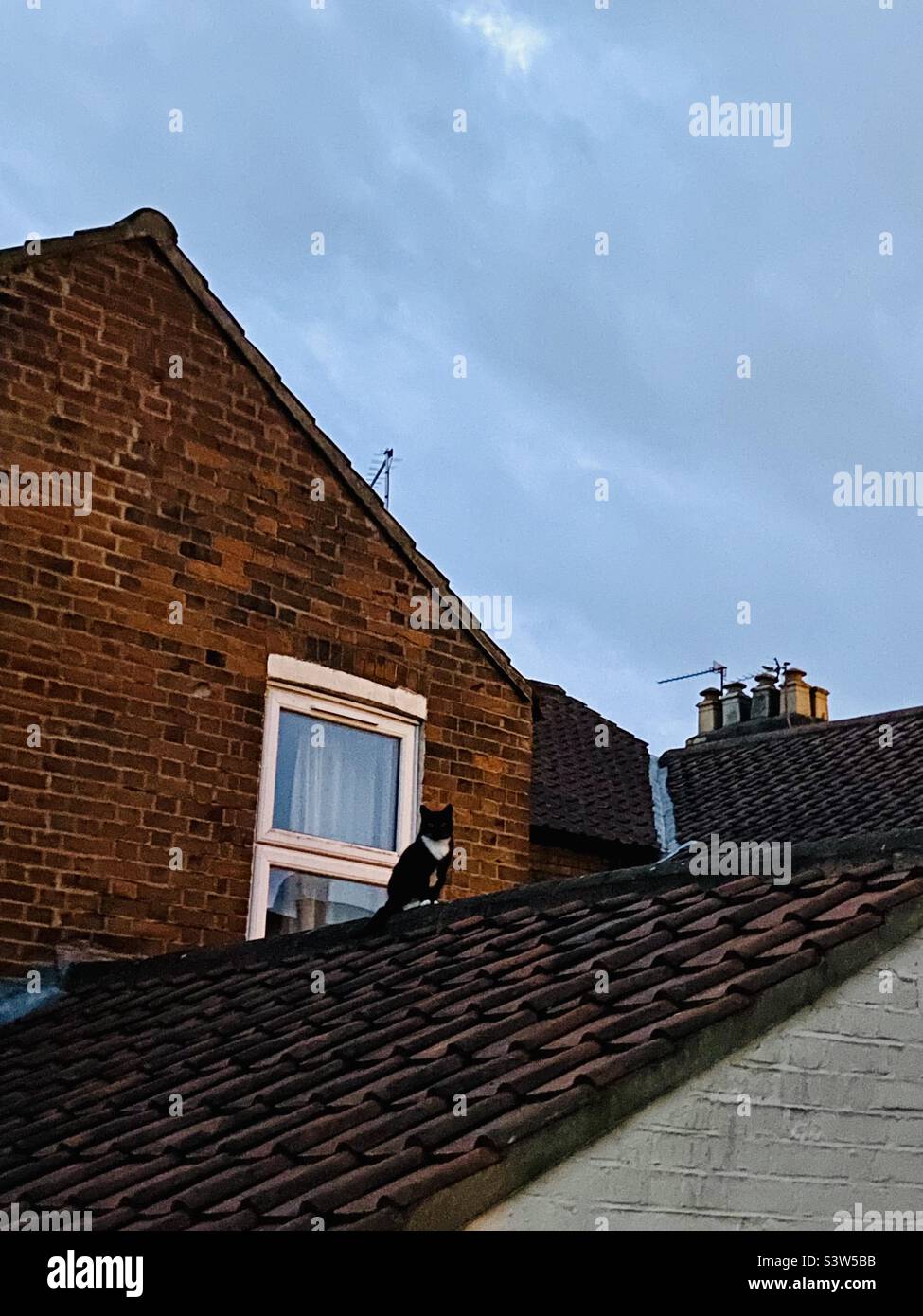 Sitting on roof tiles hi-res stock photography and images - Alamy