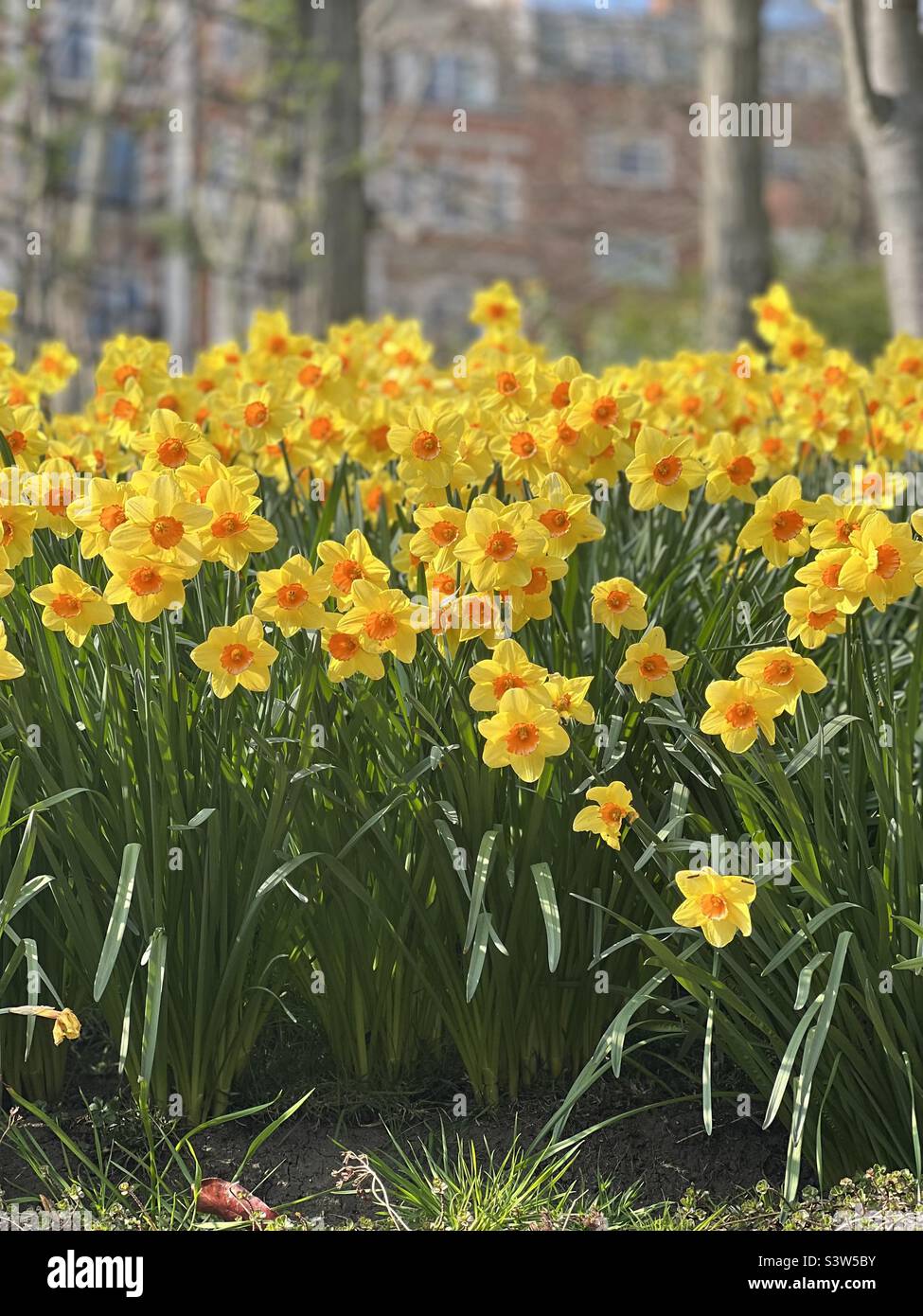 Flower energy hi-res stock photography and images - Alamy