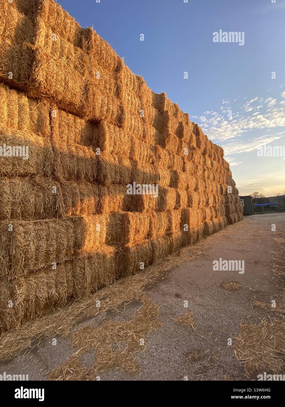 Farm animals hay hi-res stock photography and images - Alamy