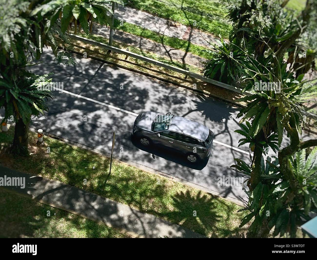 Car under tree hi-res stock photography and images - Alamy