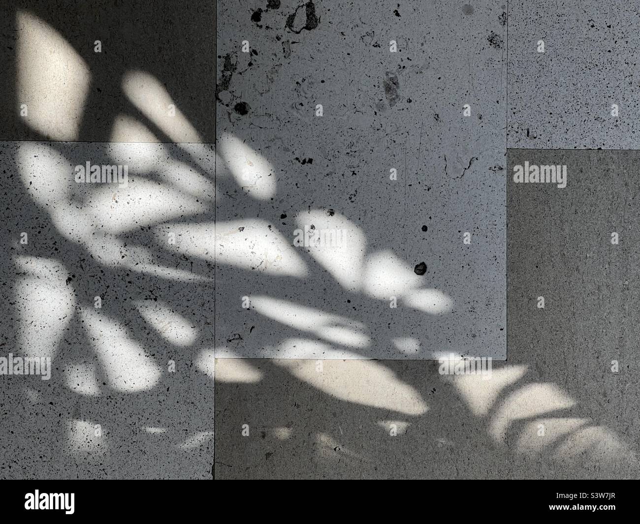 Pattern of shadows cast by sunlight through plants on a grungy, tiled ...