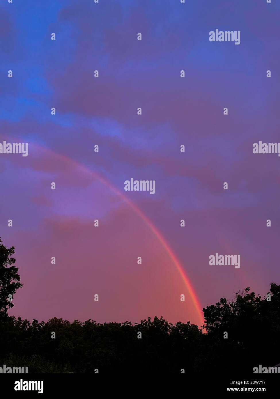 Double tree group hi-res stock photography and images - Alamy