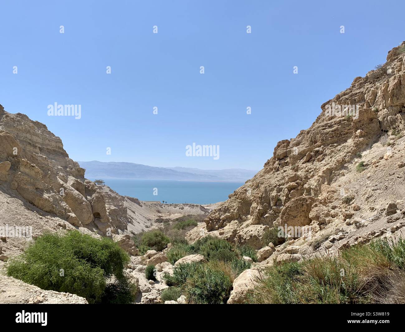 En Gedi Nature Reserve Israel with a view on the Dead Sea, June 2022 ...