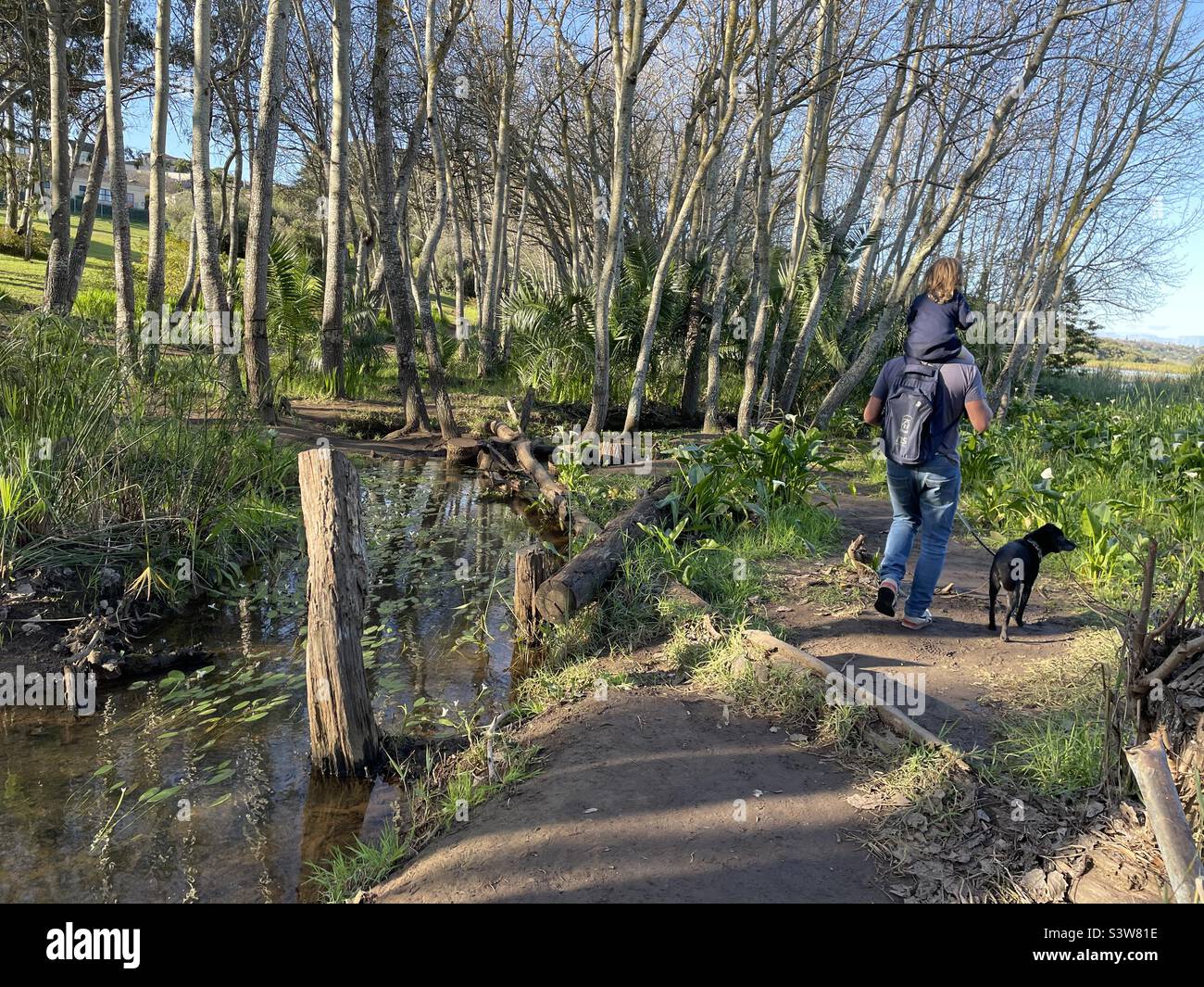 Family walk forest hi-res stock photography and images - Alamy