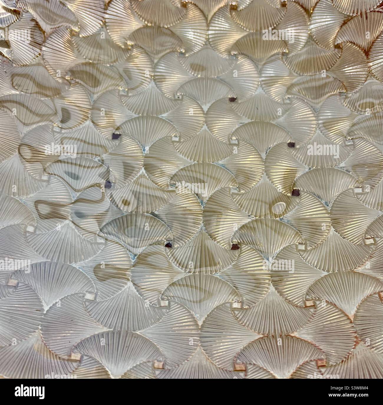 Scallops bowl hi-res stock photography and images - Alamy