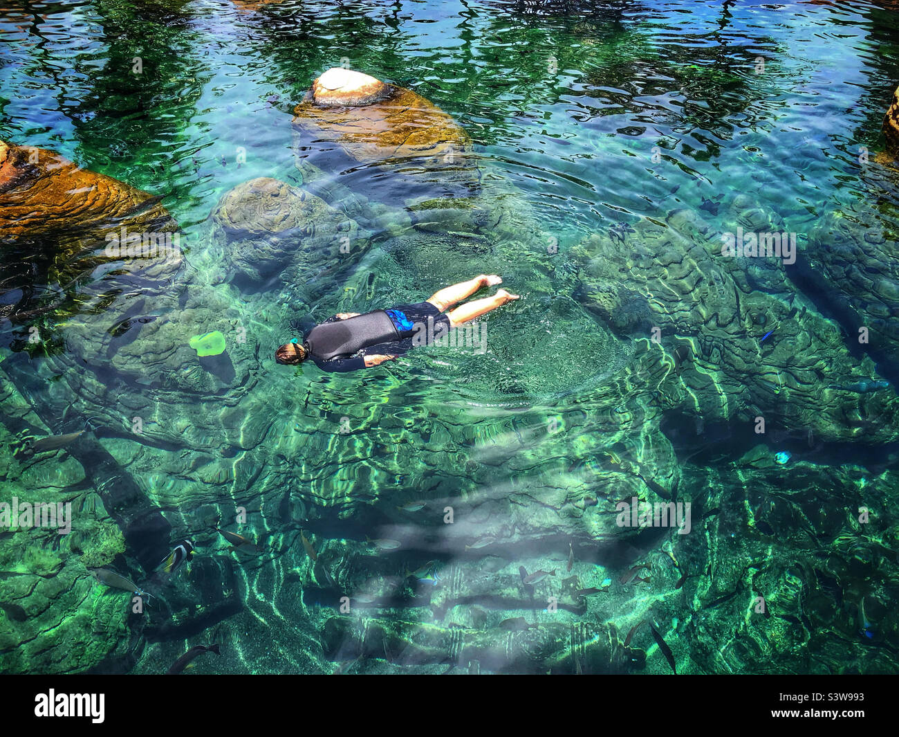 Lone person snorkelling in the snorkel lagoon at uShaka Marine World in ...