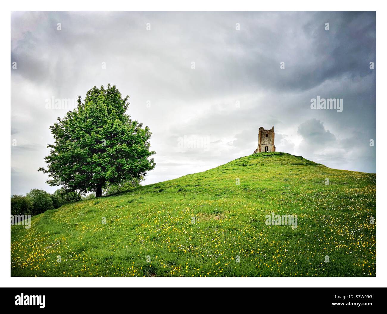 Burrow hill tree hi-res stock photography and images - Alamy