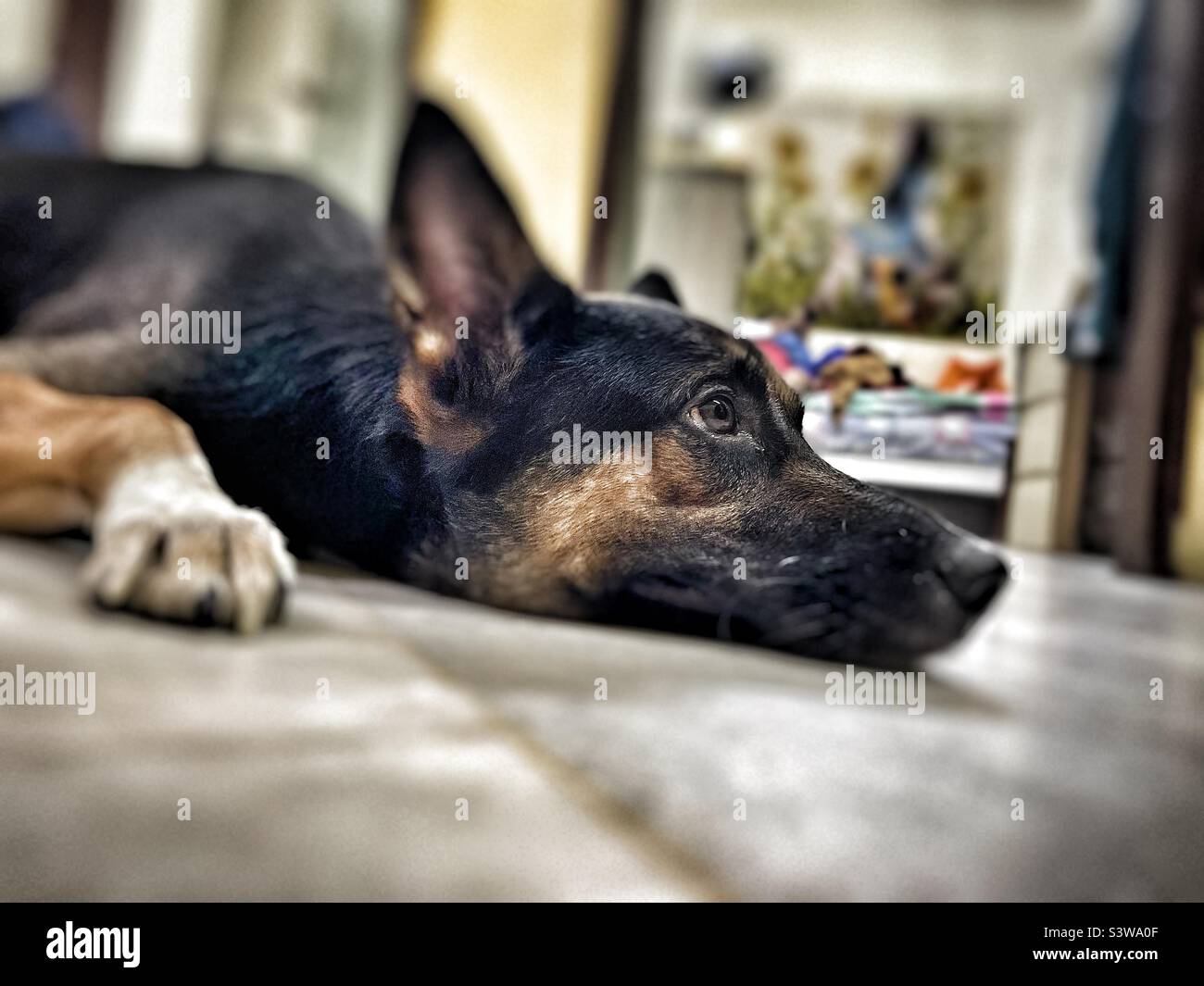 Walk of the sad hi-res stock photography and images - Alamy