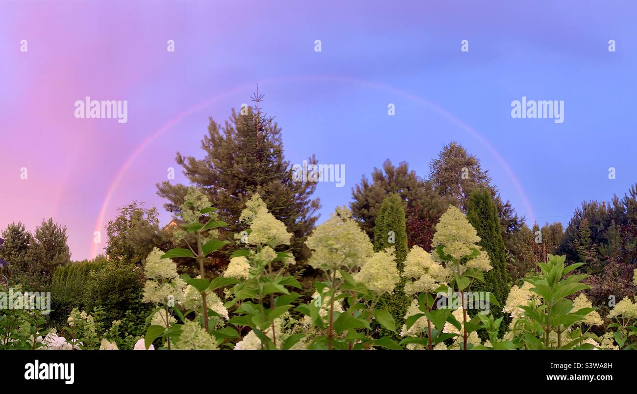 Rainbow magic hi-res stock photography and images - Alamy