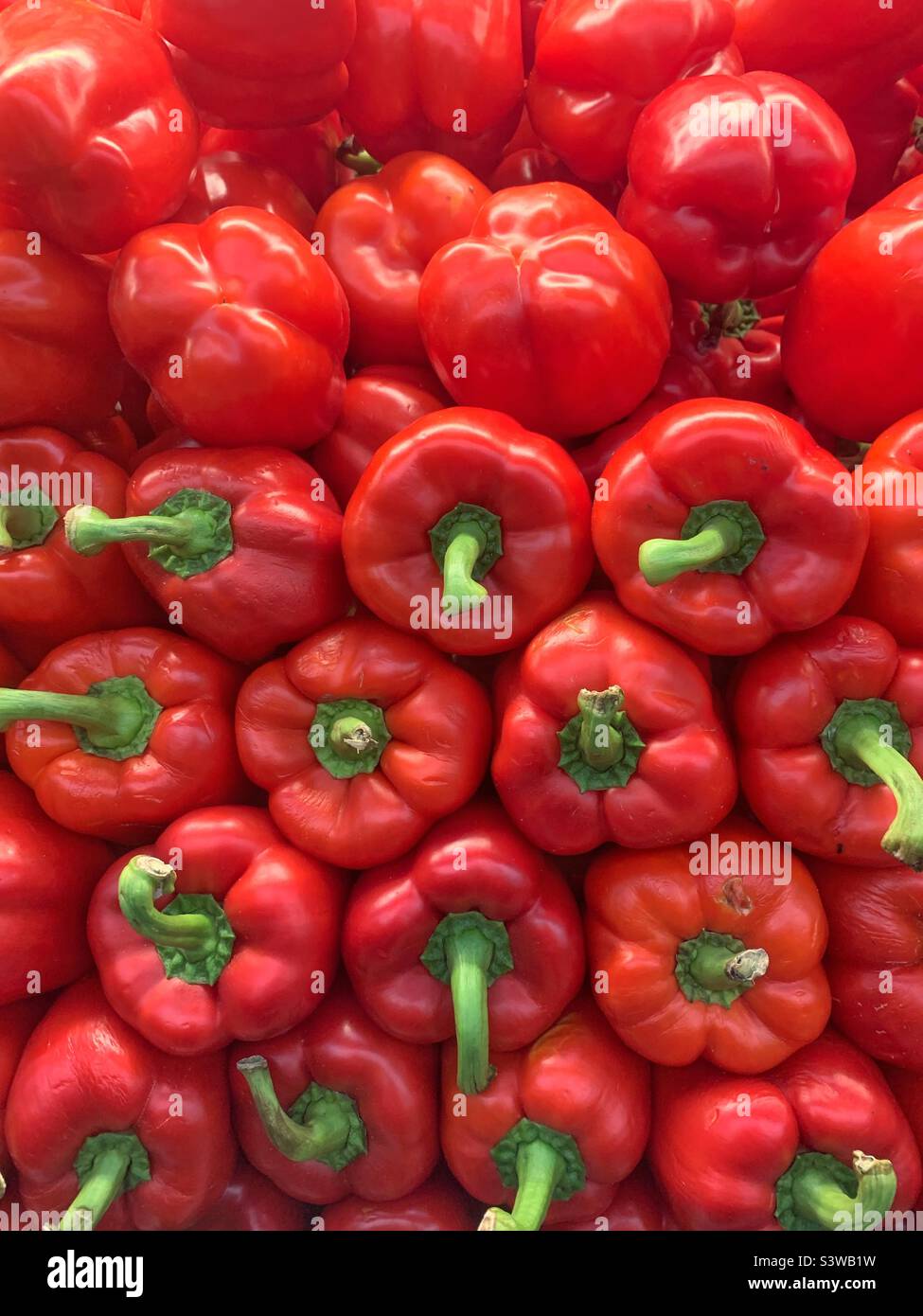 Garden fresh bright red peppers piled in a tall stack Stock Photo - Alamy