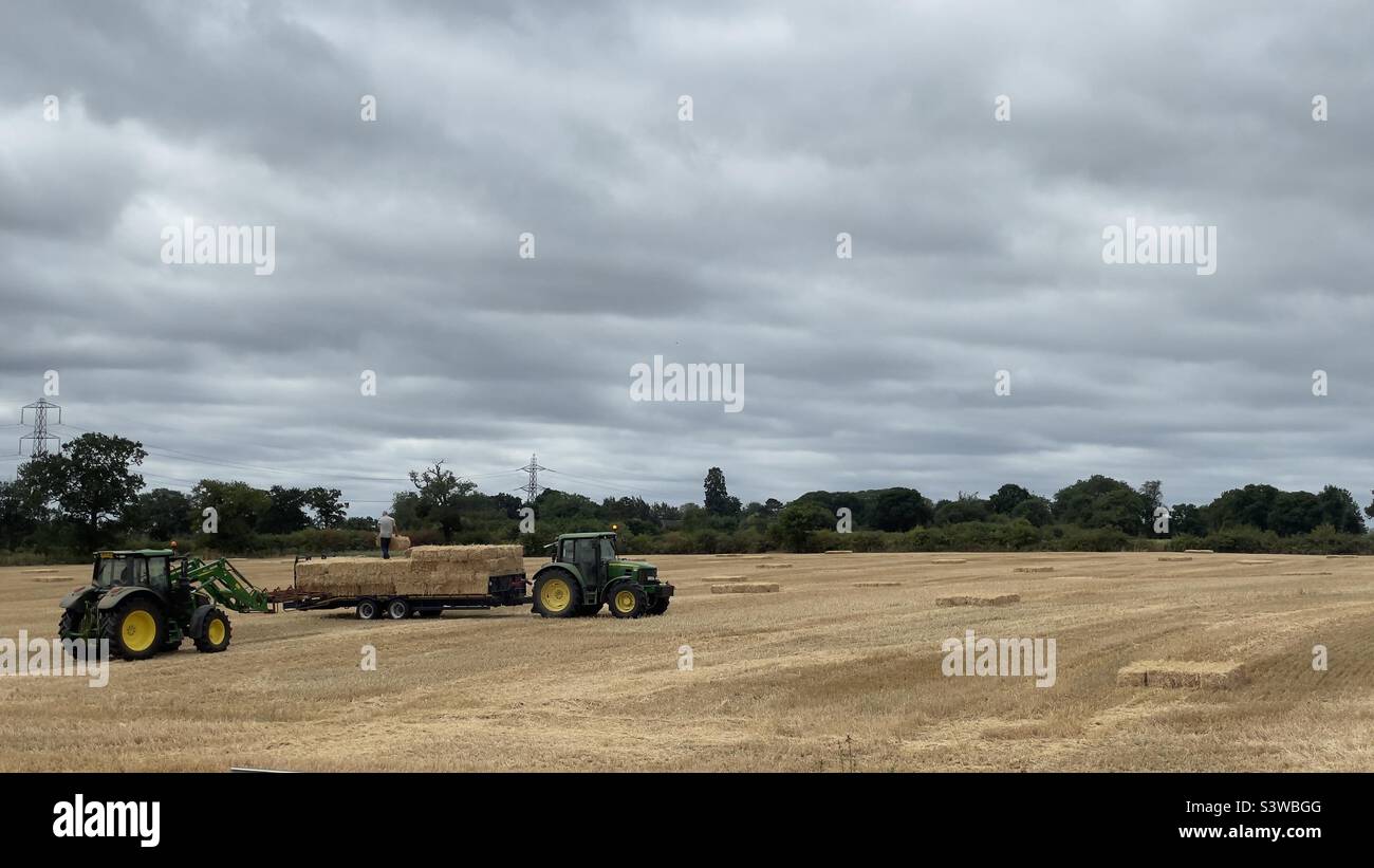 Collecting hay hi-res stock photography and images - Alamy