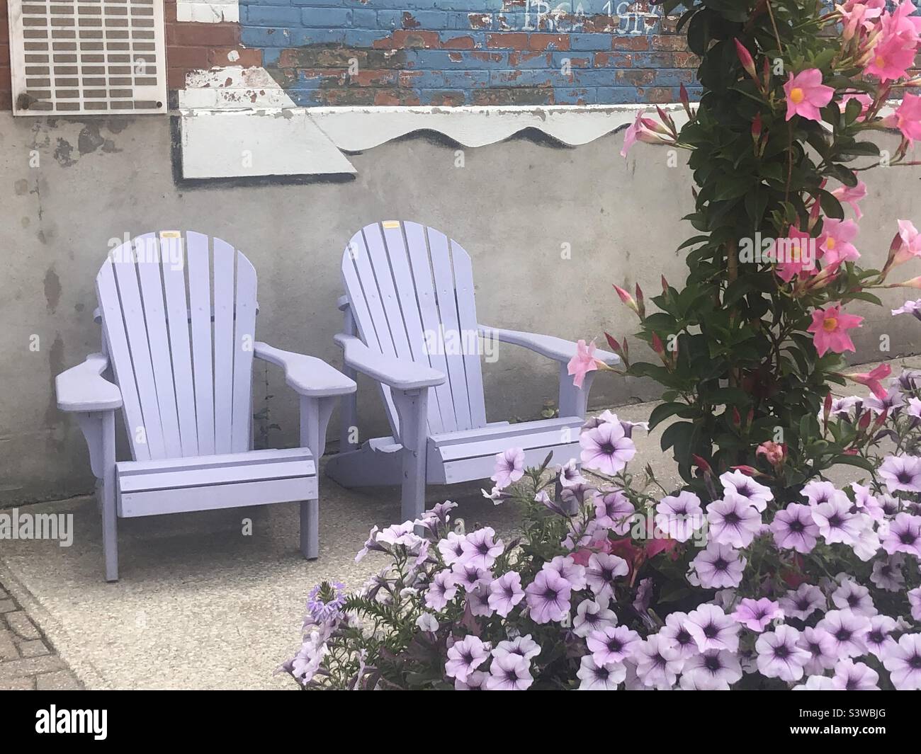 Adirondack chairs in Canada Stock Photo - Alamy