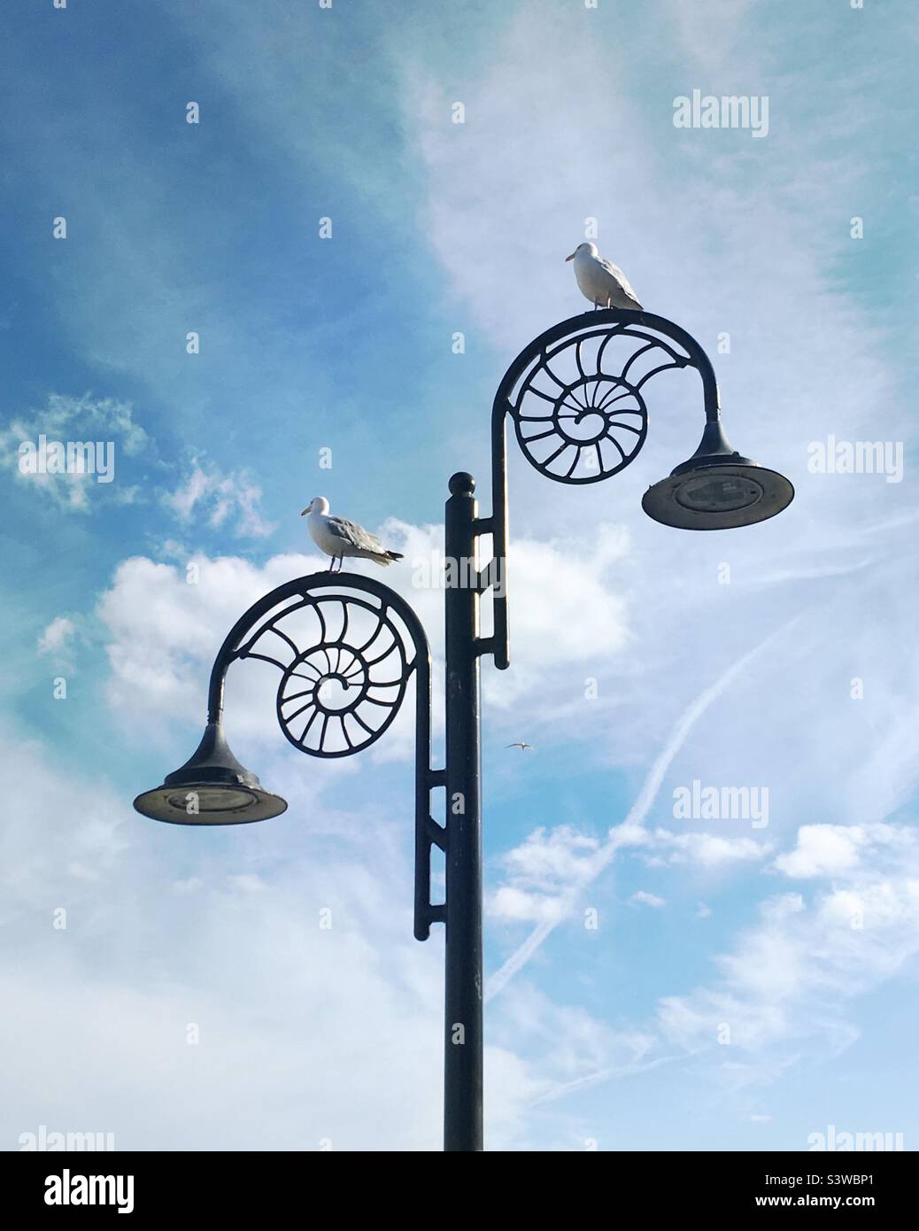 Decorative streetlights hi-res stock photography and images - Alamy