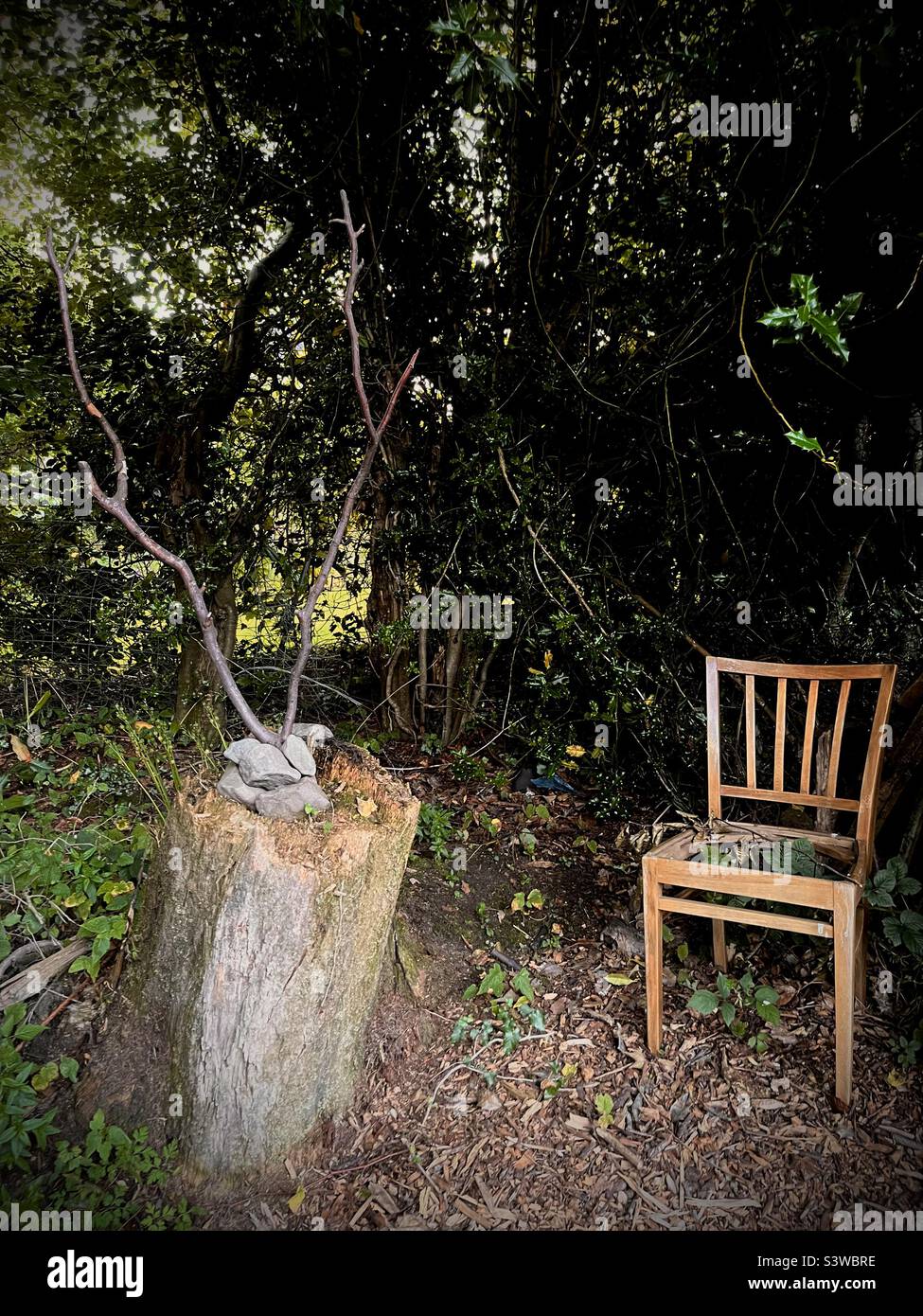 Seat in nature hi-res stock photography and images - Alamy