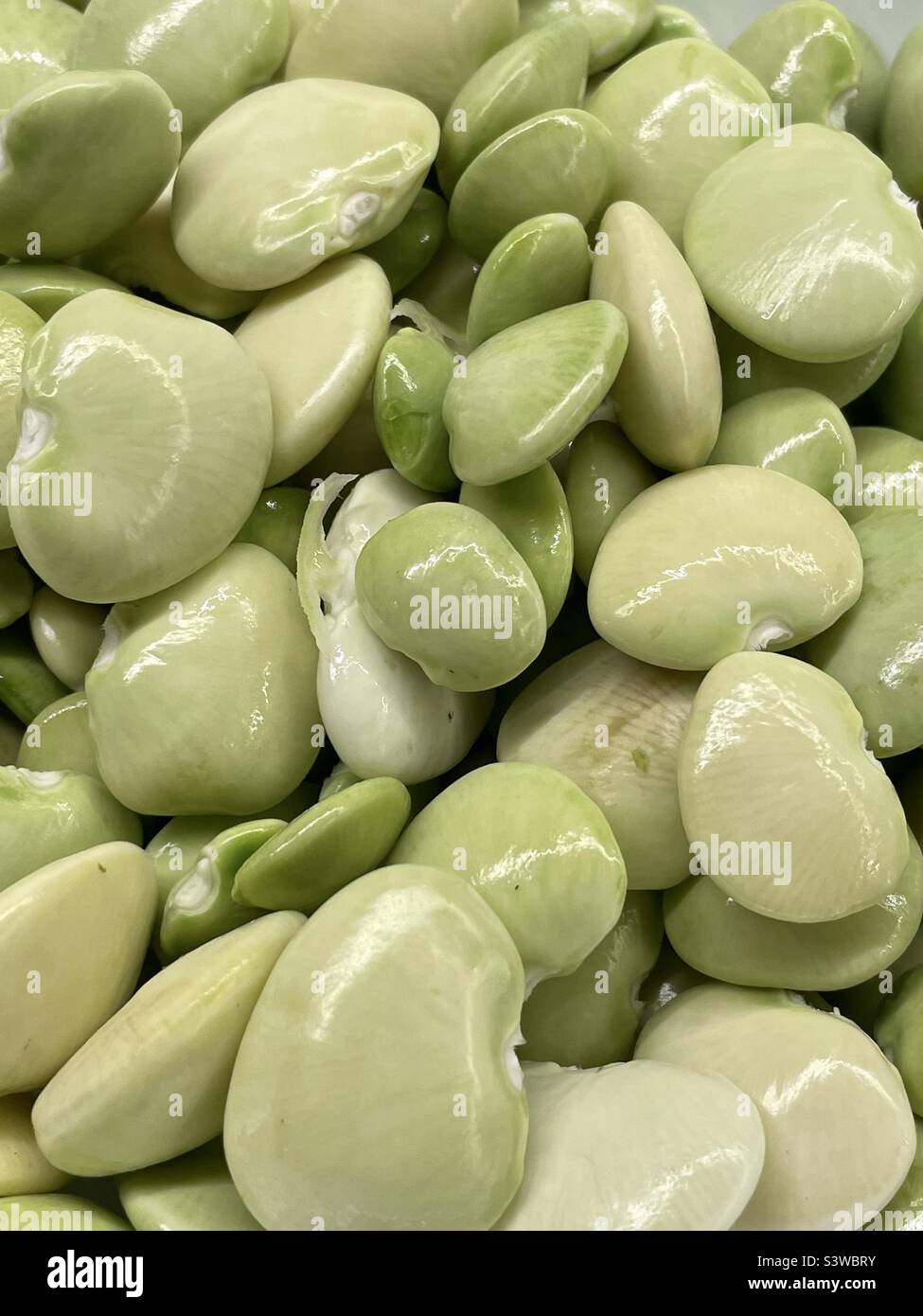 Freshly shelled Lima beans Stock Photo - Alamy