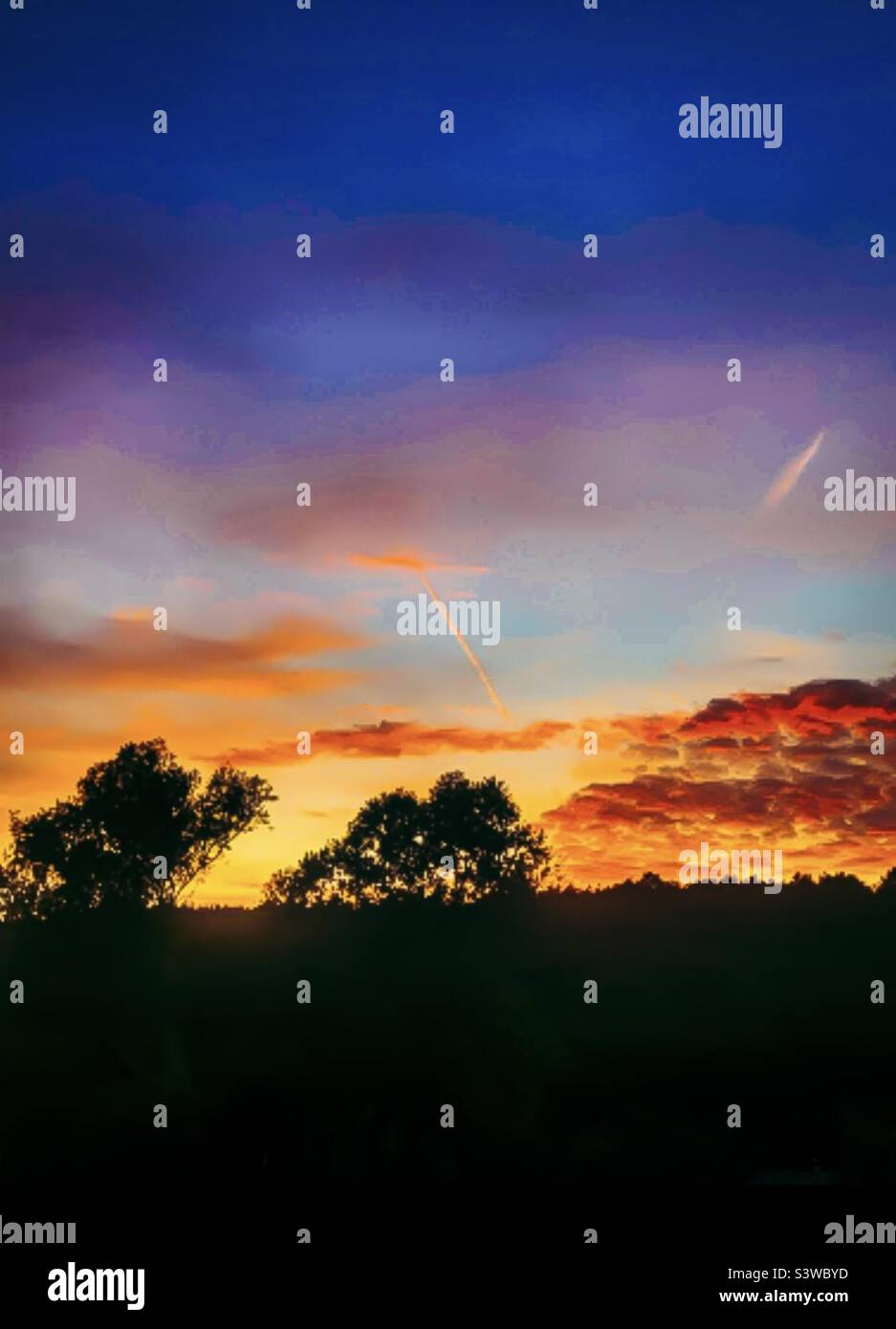 Red sky with trees hi-res stock photography and images - Alamy